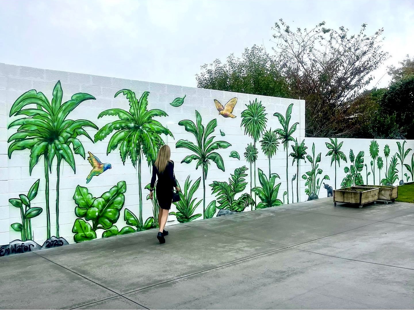 Em Wafer | Graffiato: Taupō Street Art Festival