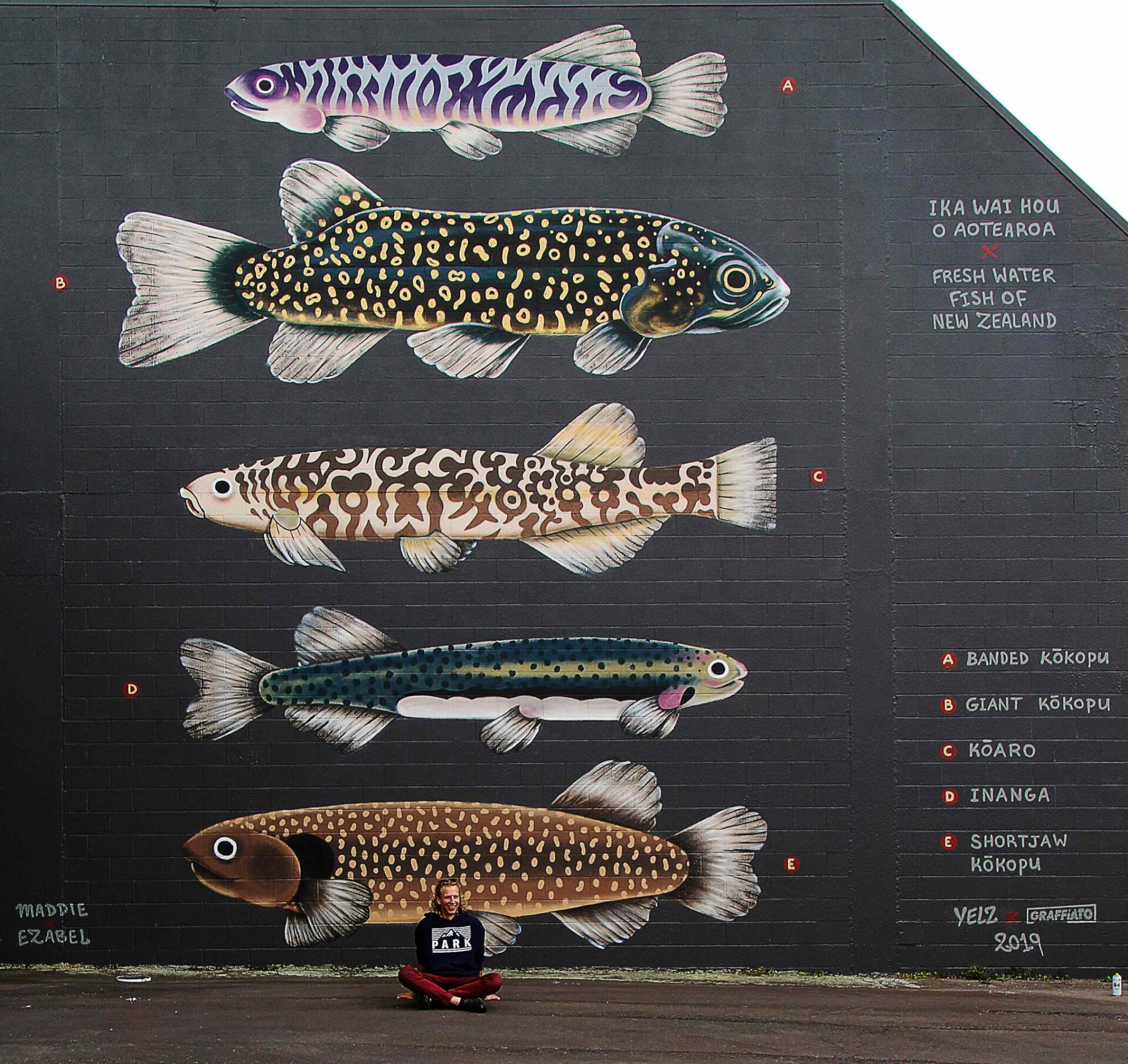 Artworks | Graffiato: Taupō Street Art Festival